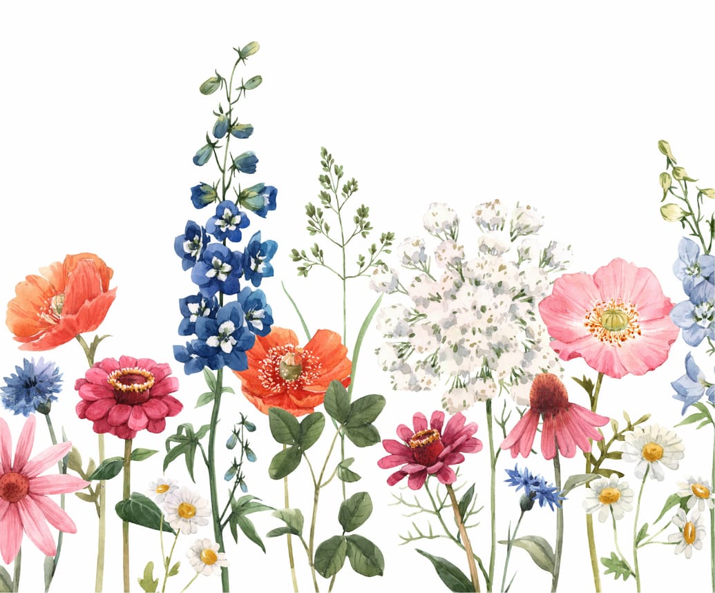 1004について | 1004 SEN[C]（センシ）